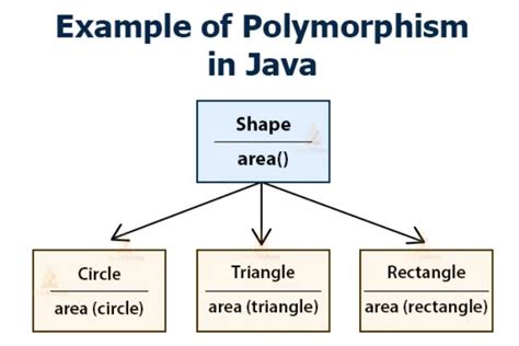 What Is Polymorphism In Java Mayank Negi Posted On The Topic Linkedin