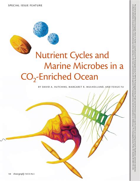 PDF Nutrient Cycles And Marine Microbes In A CO Enriched Ocean