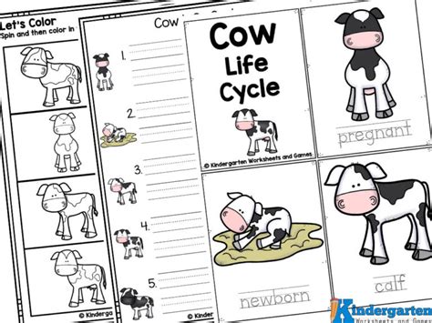 🐮 Free Printable Life Cycle Of A Cow Worksheets For Pre K Kindergarten