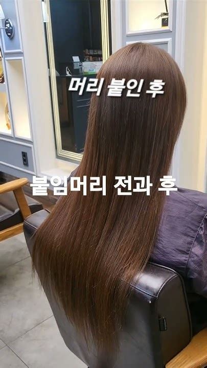 붙임 머리 전과 후 비교 Youtube