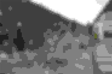 Garden Privacy Solutions To Avoid Nosey Neighbours