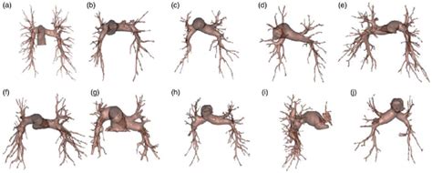 Segmentation Results From Datasets The Images A F Are People Download Scientific