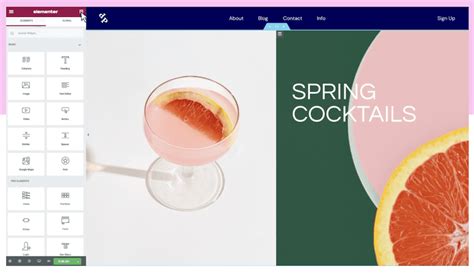 How To Choose The Best Elementor Membership Plugin For Your WordPress Website WP User Manager