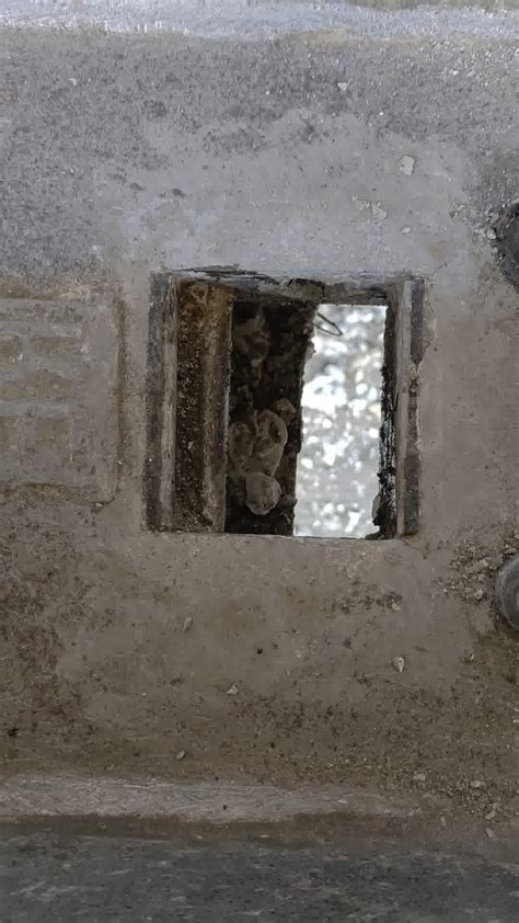 Inser Pocket Object Detection Dataset By Edgeble