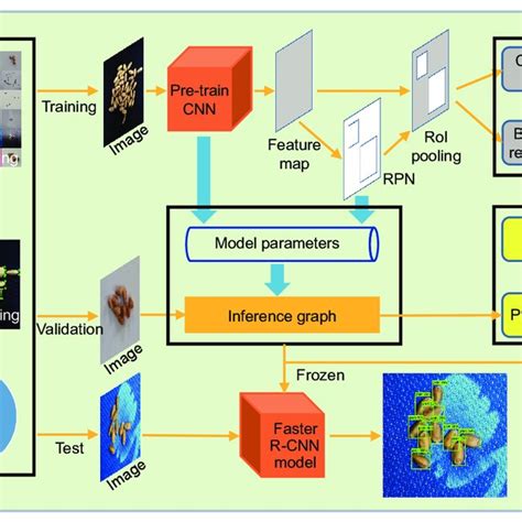 pdf detection and enumeration of wheat grains based on a deep