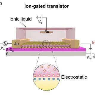 PDF Emerging On Chip Microcell In Electrocatalysis Functions Of Window And Circuit