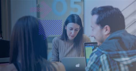 Solutions Hedgehog Lab