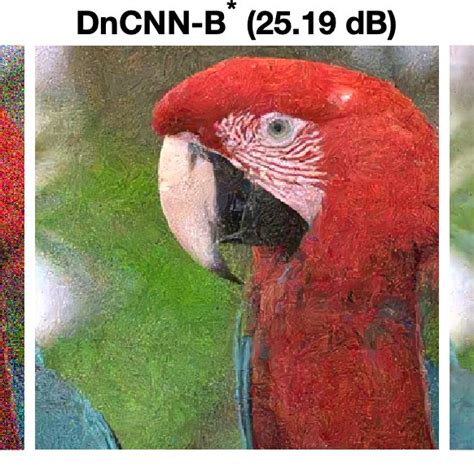 Ab Performance Of Different Color Denoising Networks Trained On σ