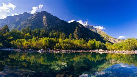 높은 코 카 서 스 산과 아름 다운 나무 중 높은 산악 Baduk 호수의 거 대 한 파노라마 화창한 여름 날입니다 0명에 대한 스톡 사진 및 기타 이미지 Istock