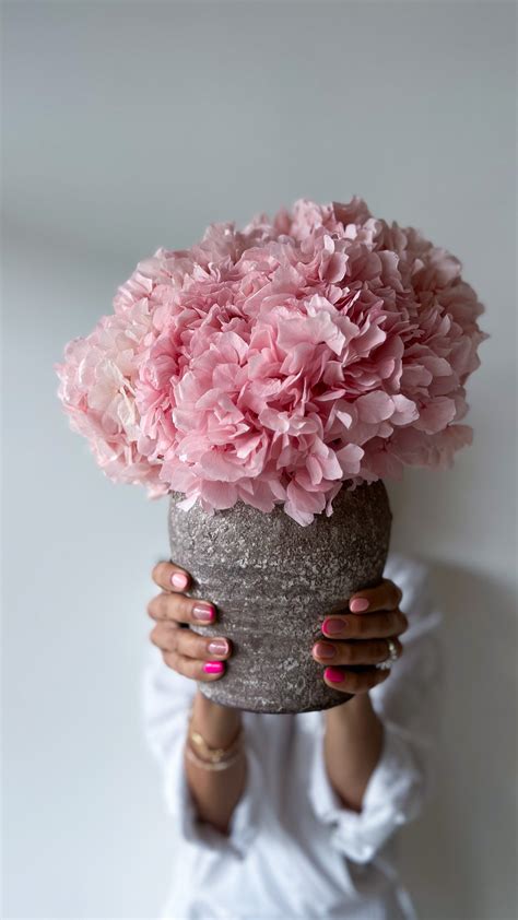 Pre Order February Luna Preserved Hydrangea Arrangement In Herama Po