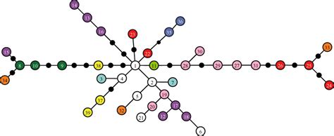 Minimum Spanning Tree Of Haplotype Relationships Numbers Refer To The