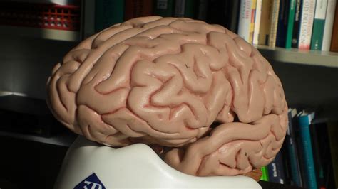 Big Think Interview With Bjarne Stroustrup Big Think