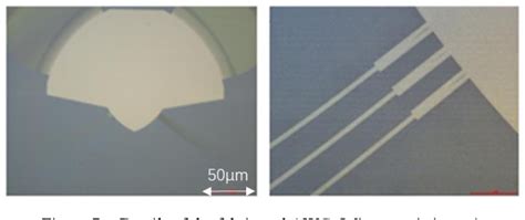 Figure 7 From A Flat Top Arrayed Waveguide Grating Using A Mmi Based On