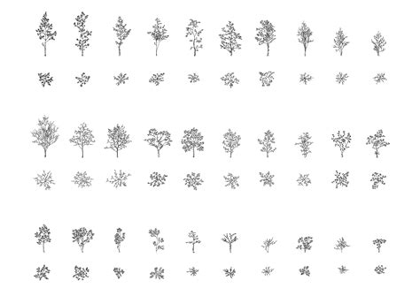Trees And Saplings Dwg Cad Blocks In Plan And Elevation 30 Pieces Cadnature