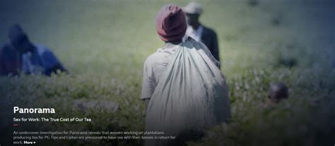 Panorama Sex For Work The True Cost Of Our Tea Left Horizons