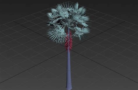 Palm Tree Detail D Model CAD Block Layout D Max File