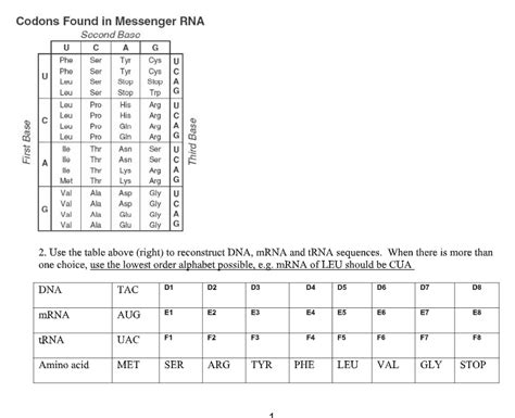 Solved Ser Ser Codons Found In Messenger Rna Socond Basc U