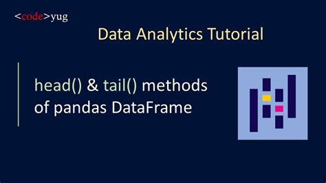 Head And Tail In Pandas Pandas Tutorial For Beginners In Hindi Youtube