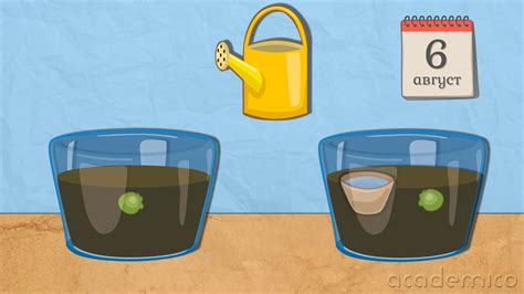 Дразнимост и движение на растенията Човекът и природата 6 клас Academico Youtube