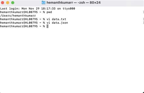 Creating Json Formatted Data File Using Dynamodb And Vi Editor