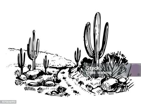 미국의 사막 선인장과의 밑그림입니다 프레리 풍경입니다 손으로 그린된 벡터 일러스트 레이 션 선인장에 대한 스톡 벡터 아트 및 기타 이미지 Istock