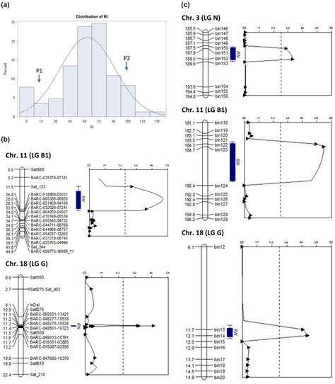 Quantitative Trait Loci Mapping For Reniform Nematode Resistance A Download Scientific