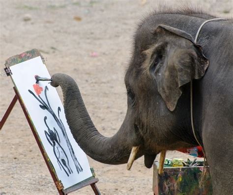 Производительность СУБД Postgresql — расчет метрики временной анализ