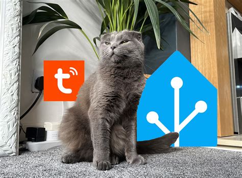 Feeding My Cat With Home Assistant Exitcode0