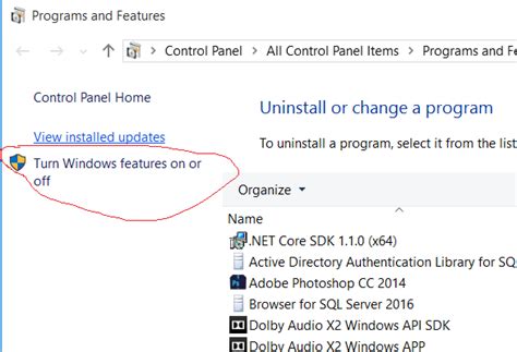 Enable IIS Internet Information Service Feature In Windows For Developers