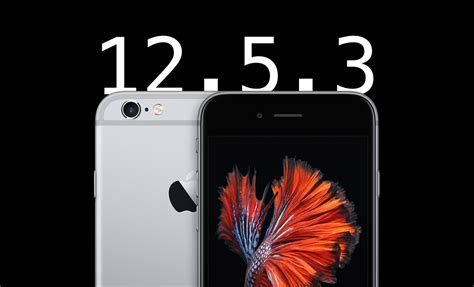 Download Ios 12 5 3 And Ipados 12 5 3 Now Available For Iphone Ipad