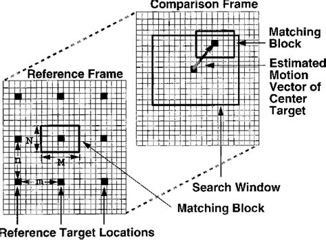 Figure 1 From Multilevel And Motion Model Based Ultrasonic Speckle Tracking Algorithms