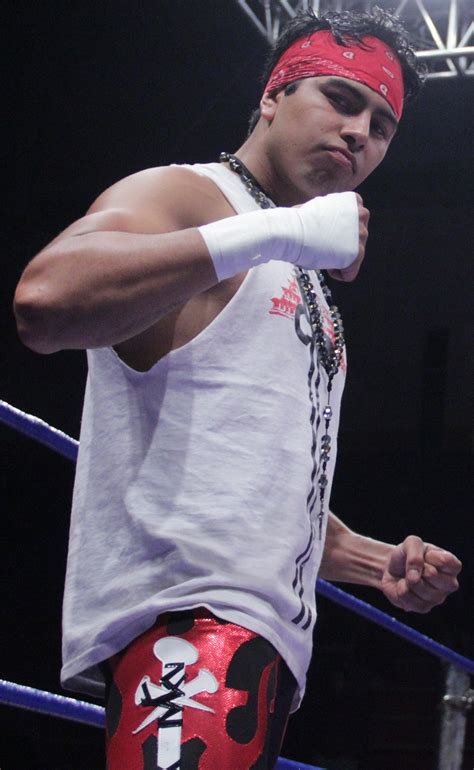 Filejinzo 2013 Luchawiki