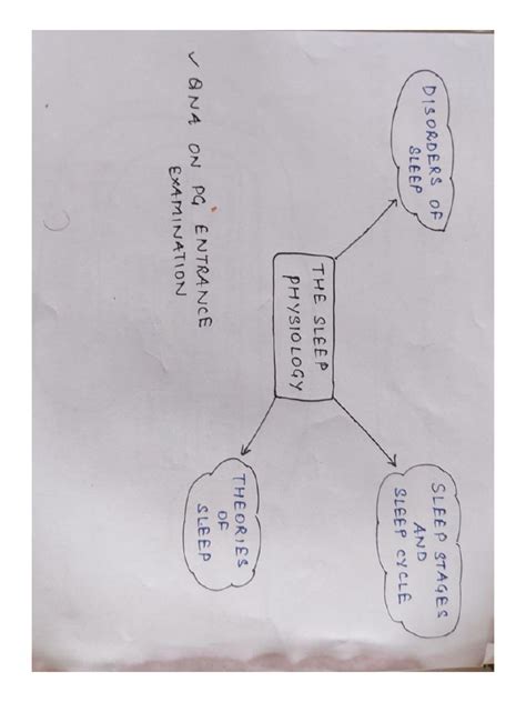 Sleep Physiology Pdf