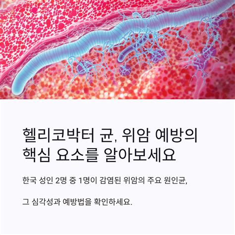 헬리코박터 파일로리균 위암 예방의 열쇠 될까 — 대한사랑의 디지털 마이라이프