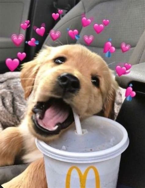 Gotta Sweep Baldis Basics Wiki Fandom Baldis Basics Basic Funkin