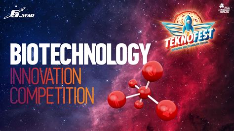 Teknofest I The Festival Whose Feet Dont Touch The Ground