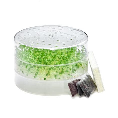 Sprouting Kit With Sproutpearl Sprouter Sprout Seeds Sponge