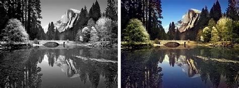 Colorization A Machine Learning Model For Colorizing Black And White