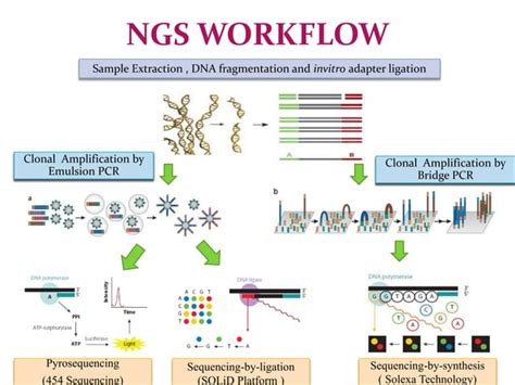 Next Generation Sequencing PPTX Chemistry Science