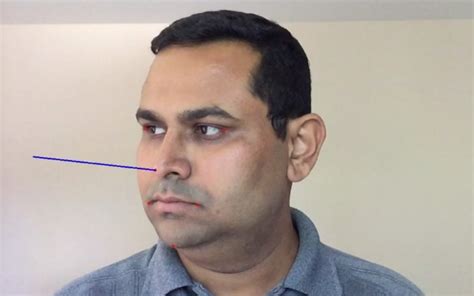 How To Draw On The Frame · Issue 942 · Homulermediapipeunityplugin · Github