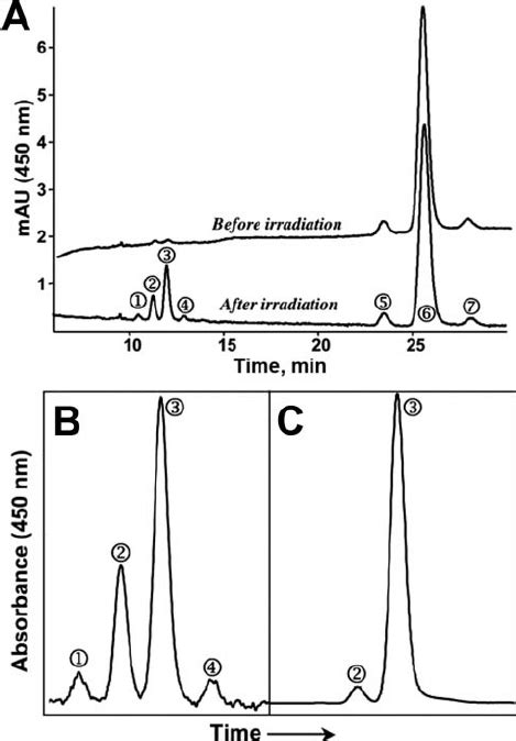 A Chromatograms Of Bilirubin 12 5 ␮ Mol L 0 73 Mg Dl In Bsa Download Scientific Diagram