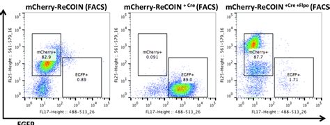 Figure Supplement 5 Flow Cytometry Analysis Of The Sorted