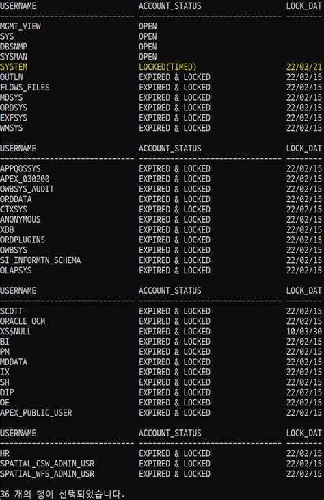 Oracle System 계정 Lock