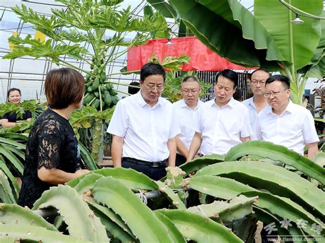 秦州区与西北农林科技大学召开校地合作交流对接座谈会图 天水在线