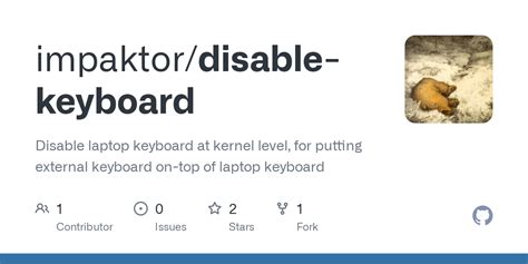 GitHub Impaktor Disable Keyboard Disable Laptop Keyboard At Kernel Level For Putting