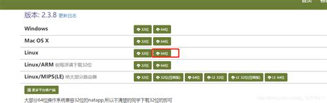 实现外网远程连接服务器：natapp使用教程natapp 阿里云服务器 Csdn博客