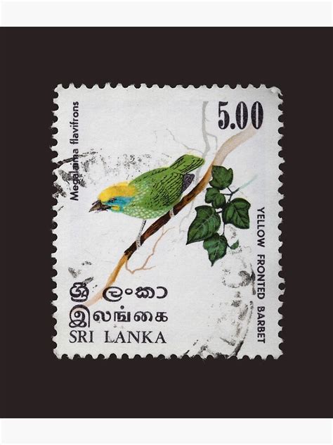 Vintage Stamp Featuring A Native Bird From Sri Lanka Poster For Sale By Coreimaging Redbubble