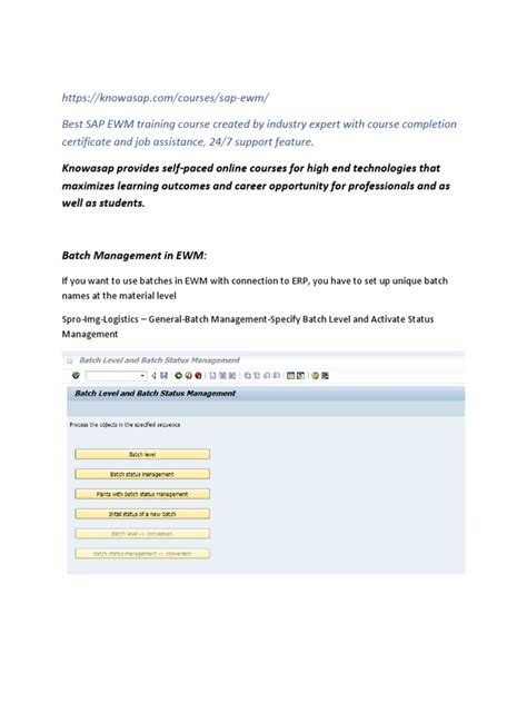 Sap Ewm Batch Mangement Config Document Pdf Enterprise Resource