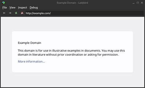 Ladybird Browser Year In Review What We Did In 2022 — Linus Groh