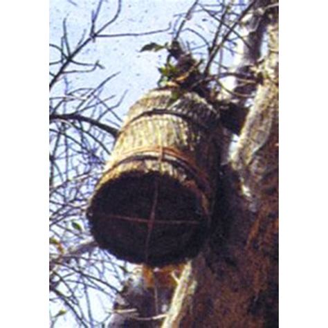 При втория способ за бързо размножаване на пчелите се използва тръвна Български Фермер